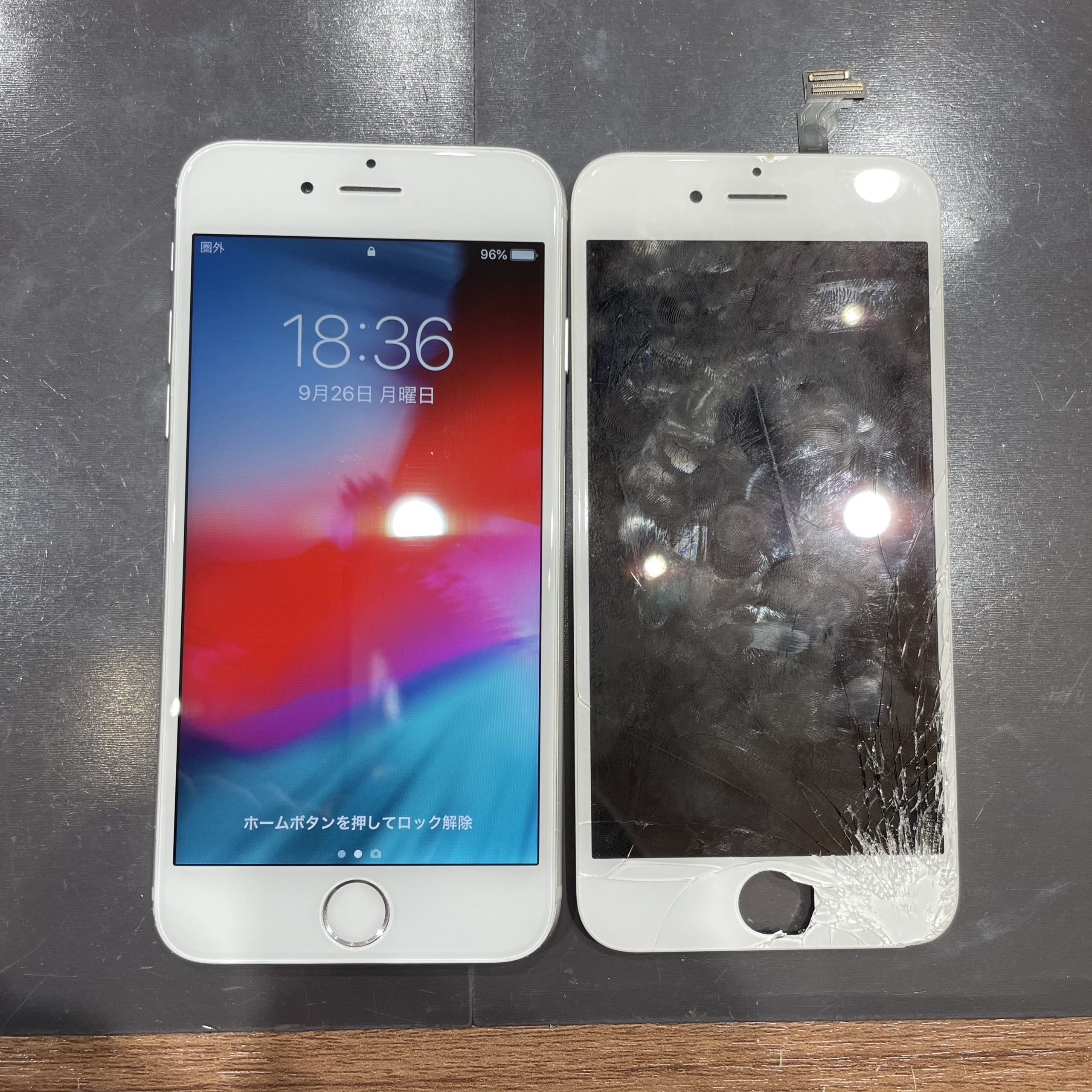 【ももち店】コンクリートに落としてバキバキに・・・！iPhone6sの画面交換/西区よりご来店 | iPhone修理・iPad修理 スマートクール イオンモール香椎浜店